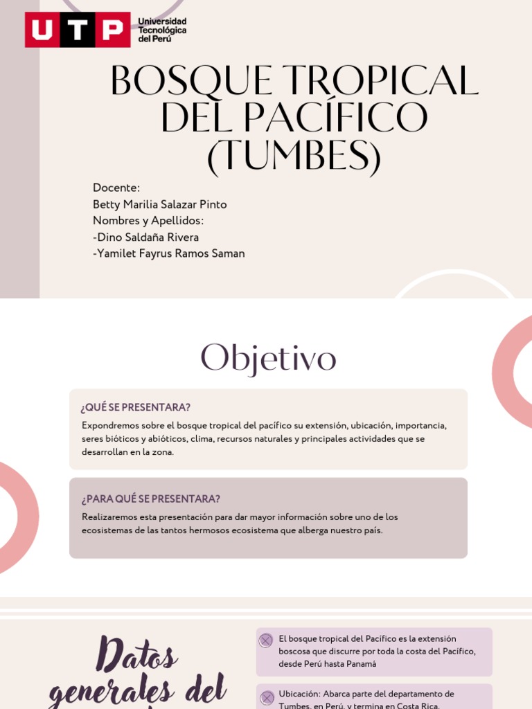 Bosque Tropical Del Pacífico (Tumbes) | PDF | Los bosques | Zona tropical