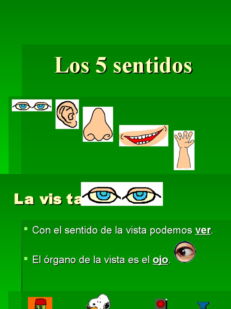 Los 5 Sentidos | PDF