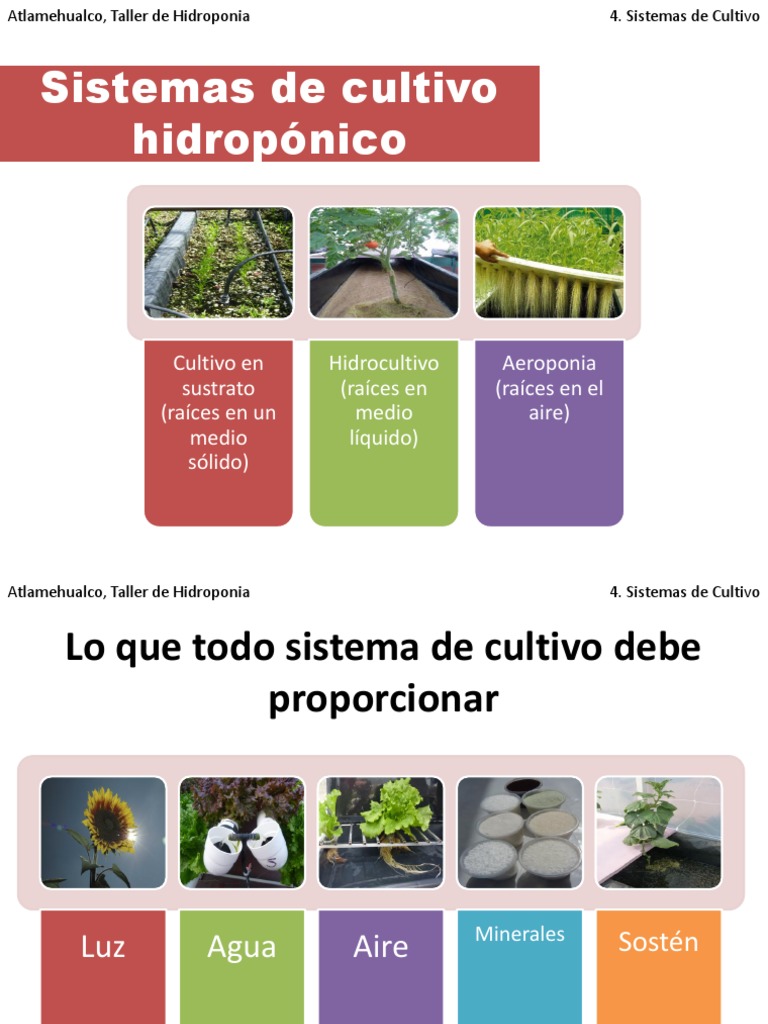 Presentación Hidroponia - Sistemas de Cultivo | PDF | Hidroponia | Riego