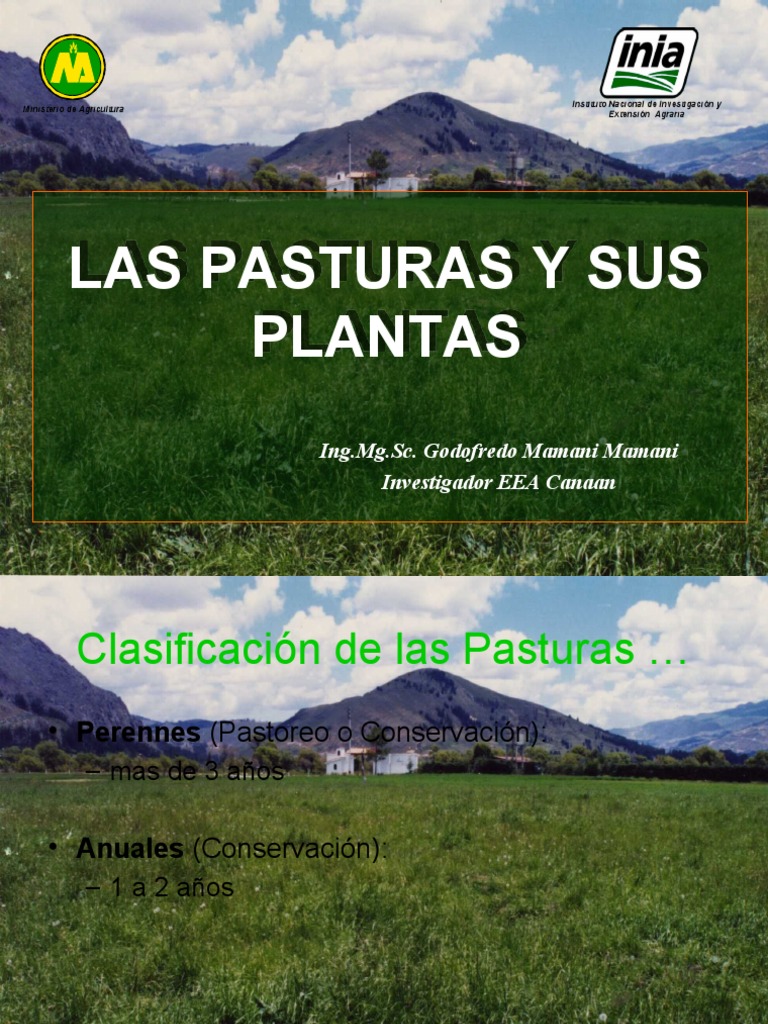 Cap I. Las Pasturas y Sus Plantas | PDF | Cebada | Alfalfa