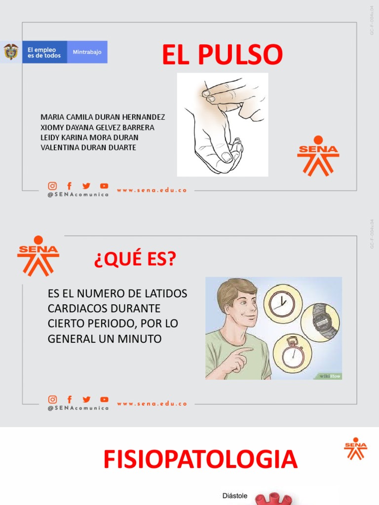 El Pulso | PDF | Legumbres | Ritmo cardiaco