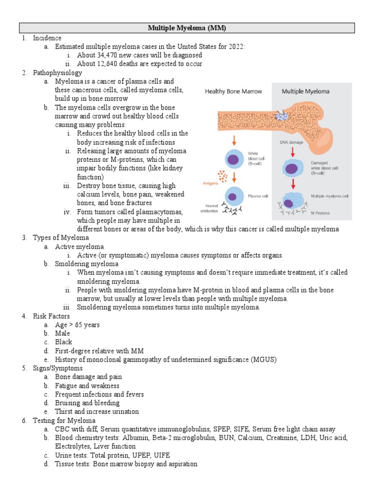 Multiple Myeloma Download Free Pdf Multiple Myeloma Bone
