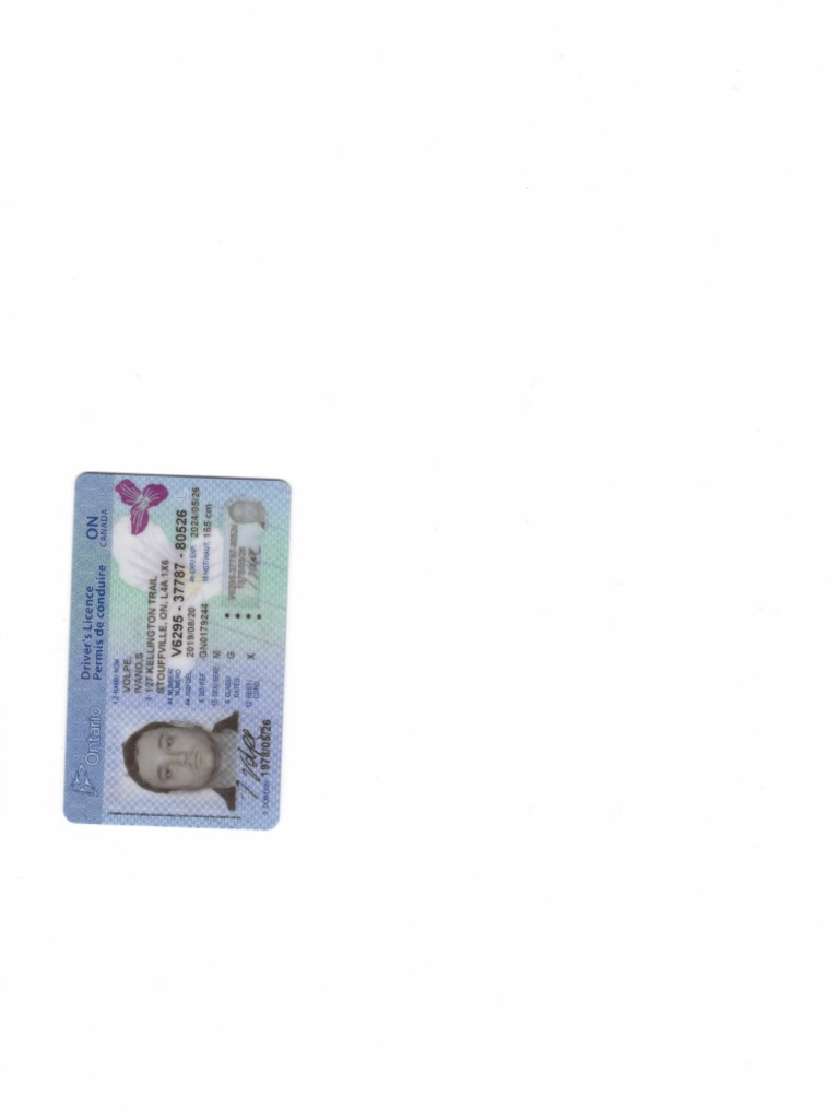 Drivers License Front and Back PDF | PDF