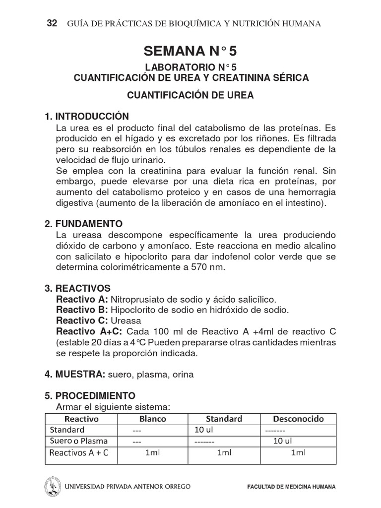 GUÍA de Sem4 | PDF | Creatinina | Urea