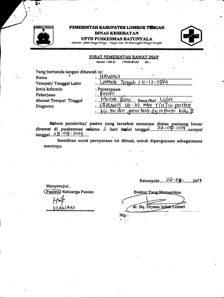 HAWANI | PDF