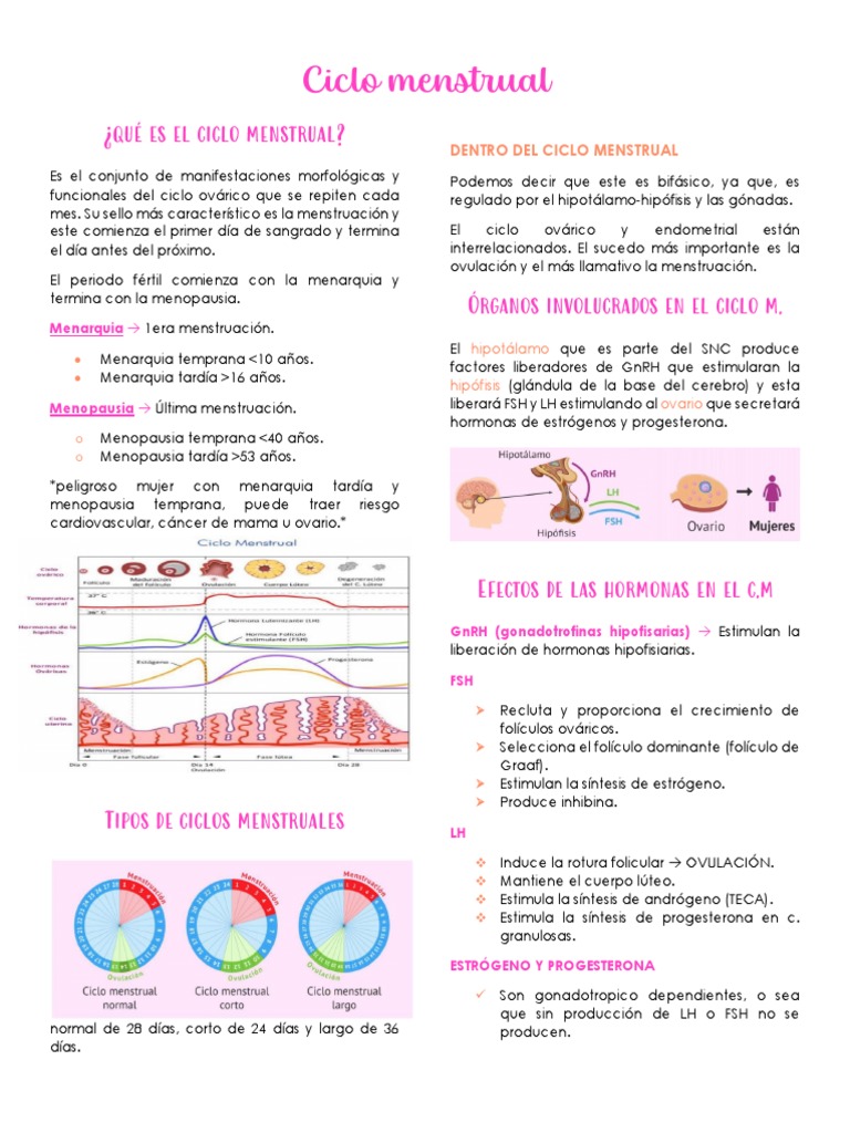 Fases y Funciones del Ciclo Menstrual | PDF | Ciclo menstrual | Hormona ...
