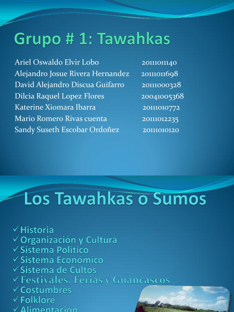 Los Tawahkas o Sumos