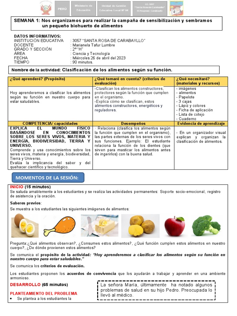 Sesión Ciencia - Los Alimentos Según Su Funcion | PDF | Evaluación ...