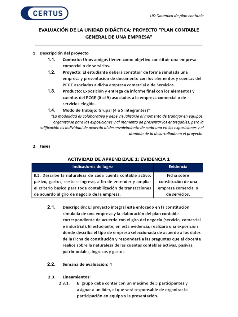 2 Proyecto DINAMICA DEL PLAN CONTABLE | PDF | Contabilidad | Evaluación
