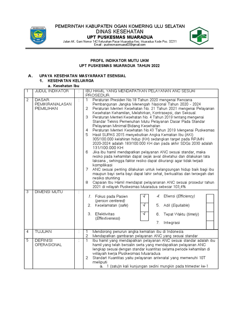 Profil Indikator Mutu Ukm Puskesmas Muaradua Tahun 2022 | PDF