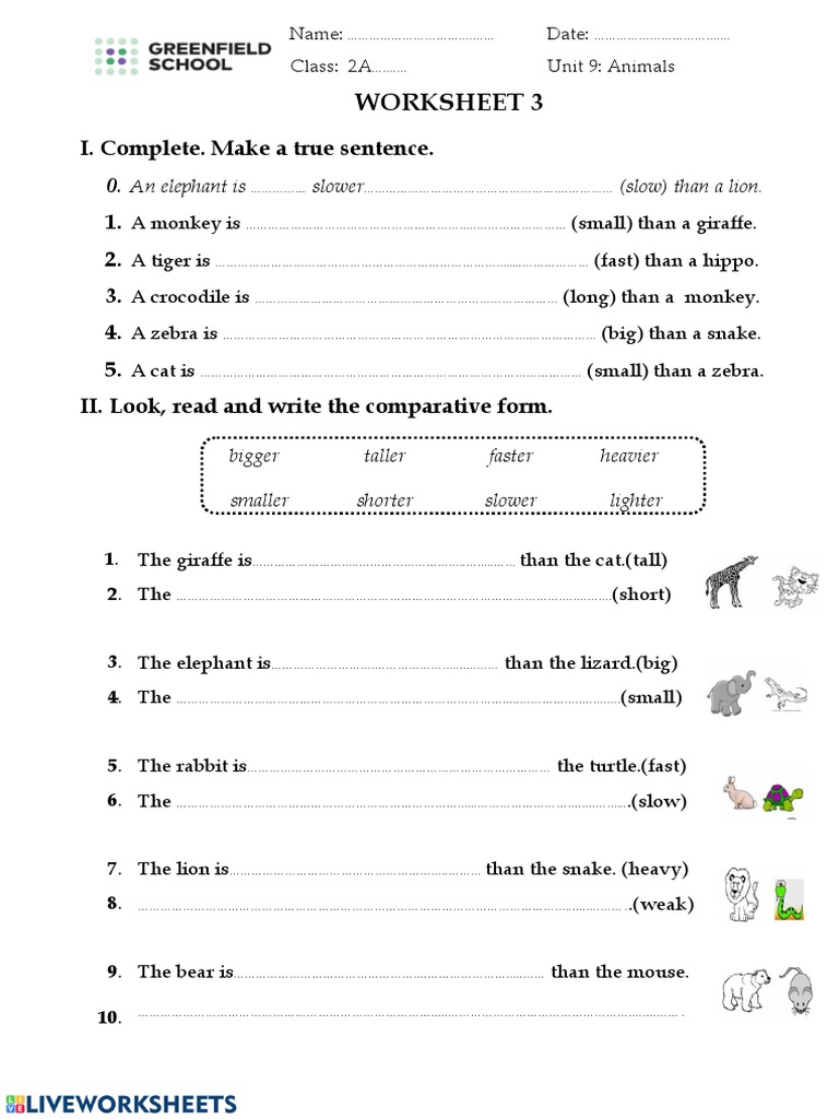 Animal Comparatives Worksheet 2A | PDF | Young Adult
