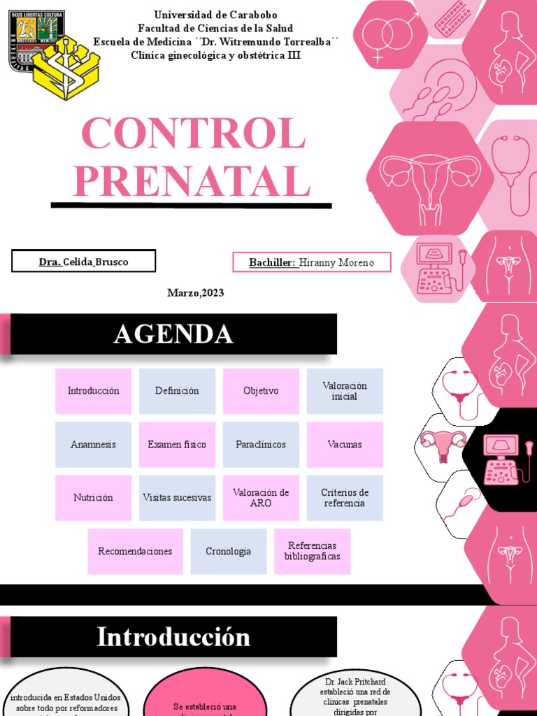 Control Prenatal | PDF