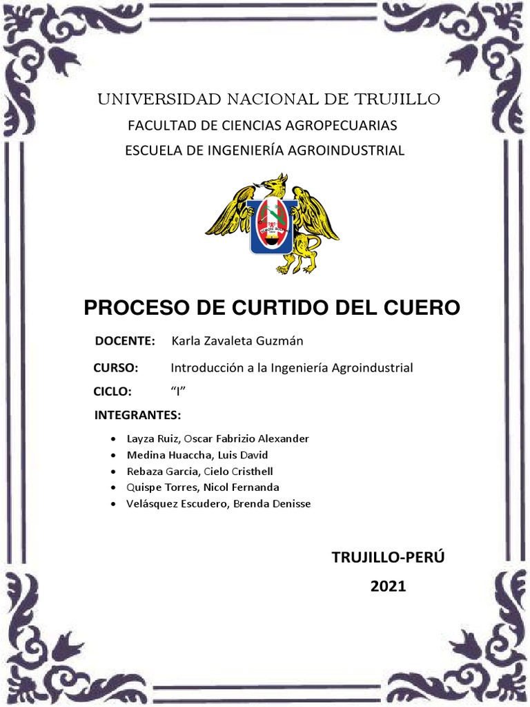Proceso de Curtido Del Cuero | PDF | Cuero | Química