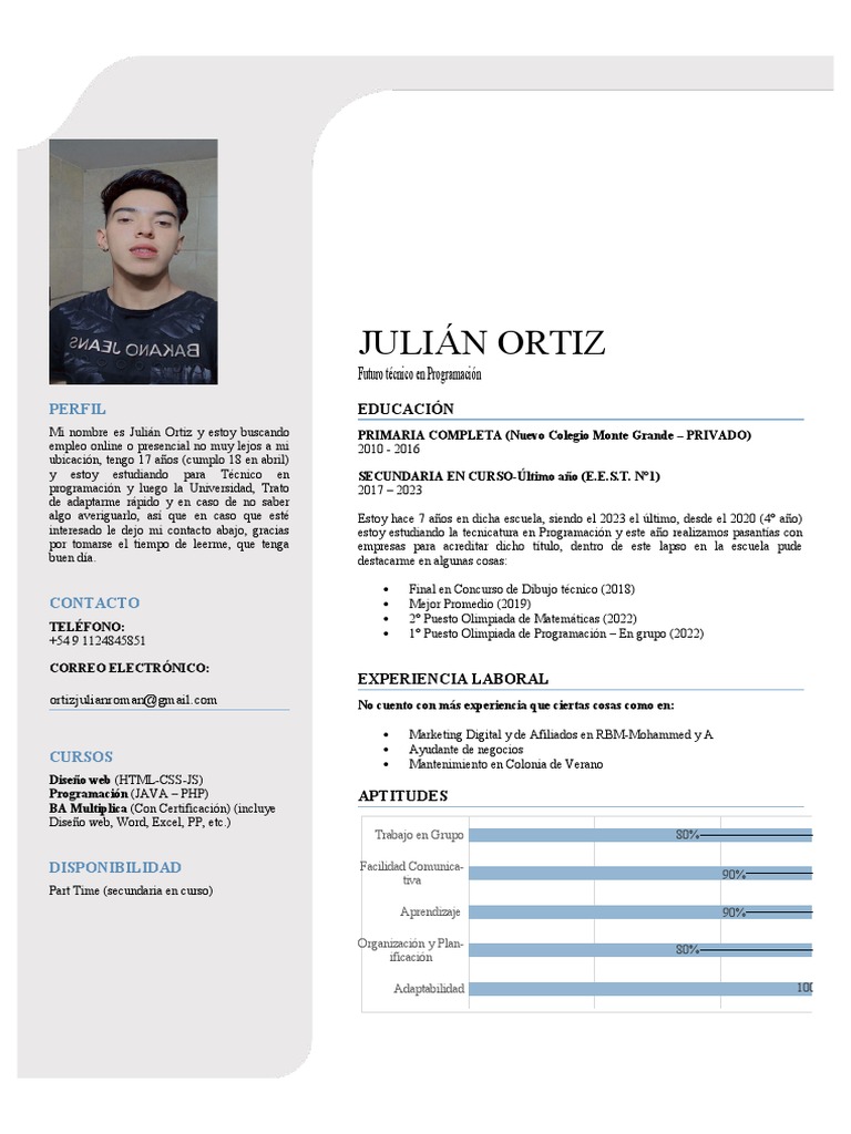 Currículum Julián Ortiz: Técnico en Programación | PDF