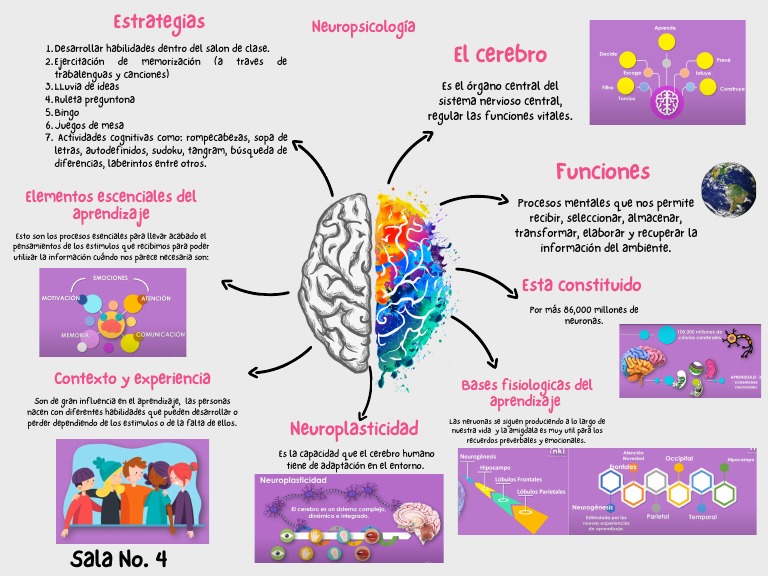 Bases Fisiológicas Del Aprendizajeneuropsicología | PDF | Aprendizaje | Cerebro