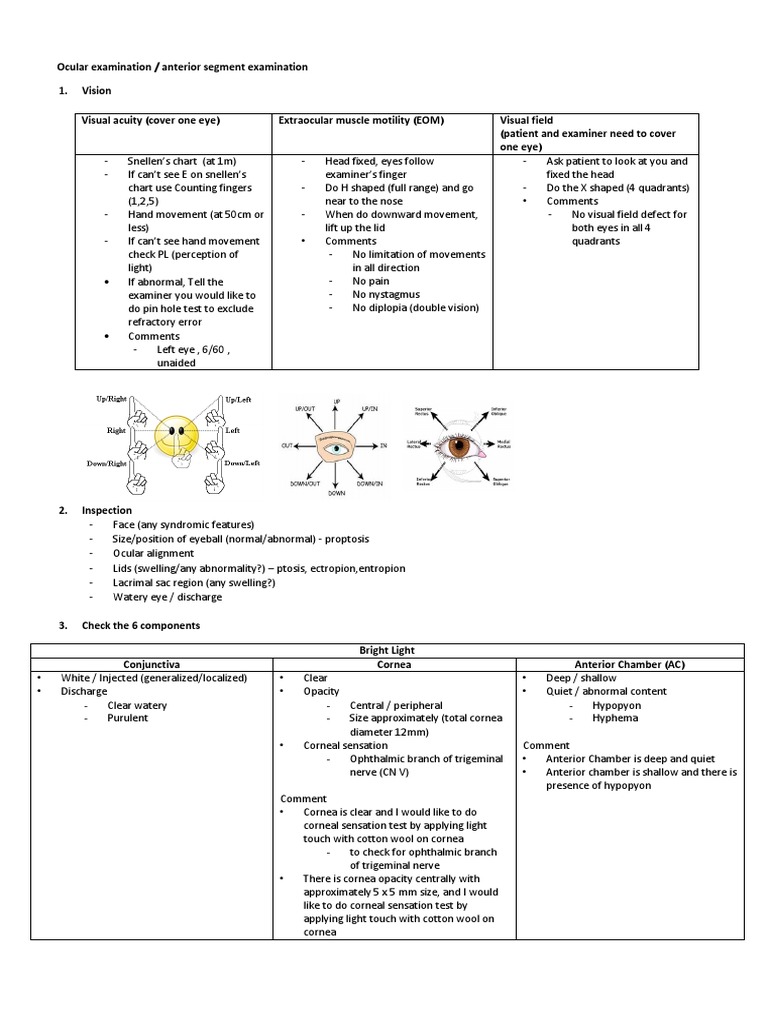 Ocular Exam Guide | PDF | Human Eye | Cornea