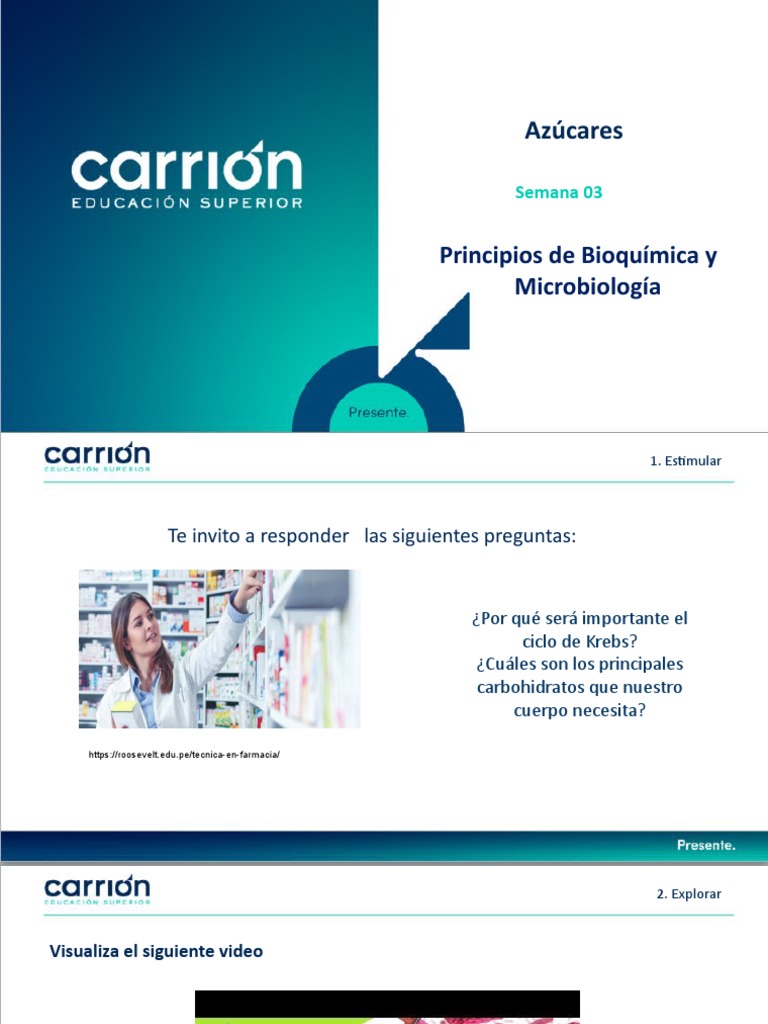 Sesion 3 P B M | PDF | Carbohidratos | Respiración celular