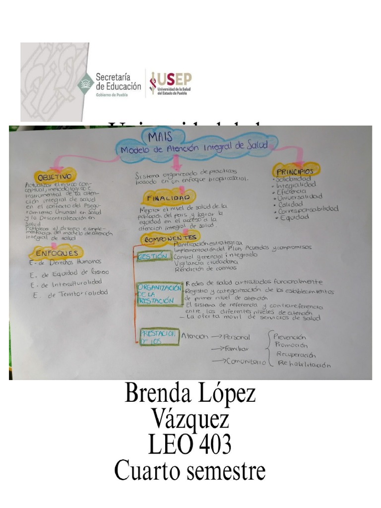 Modelo Integral | PDF