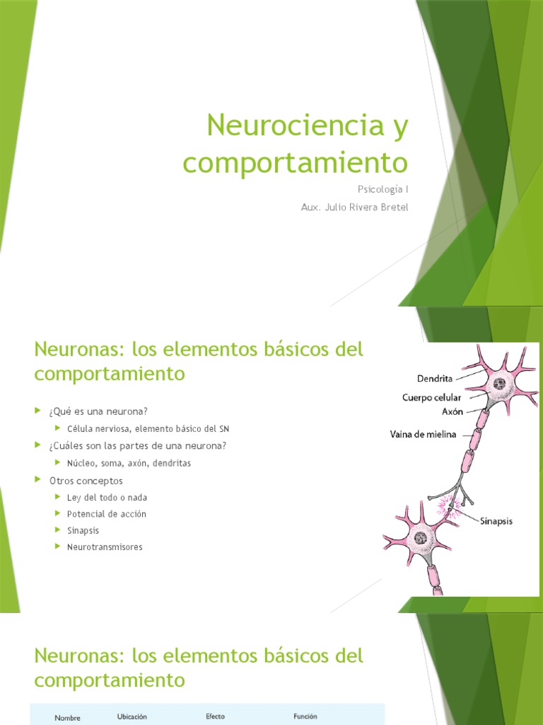 Neurociencia y Comportamiento | PDF | Relaciones personales, crianza y desarrollo personal