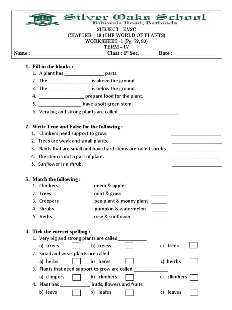 EXTRAWS 1 (Class-1) Ch-18 | PDF