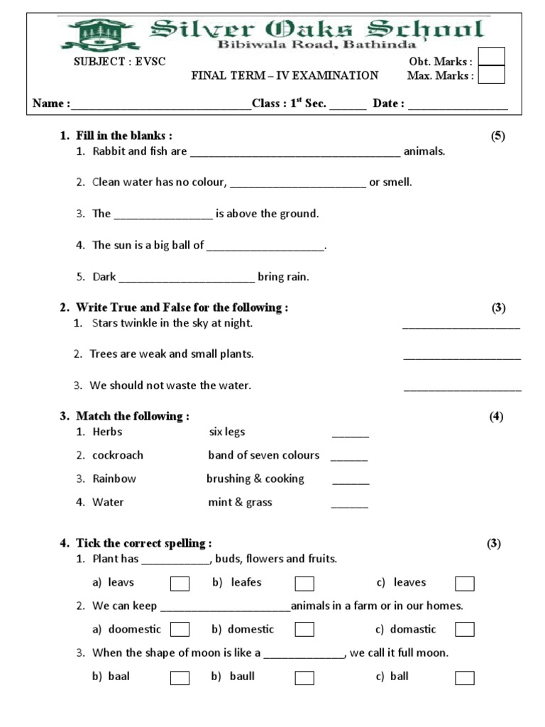 TEST (Class - 1) TERM - 4 | PDF | Organisms | Plants