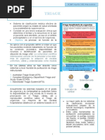 Triage Triptico | PDF | Enfermedades y trastornos humanos | Ciencias de ...