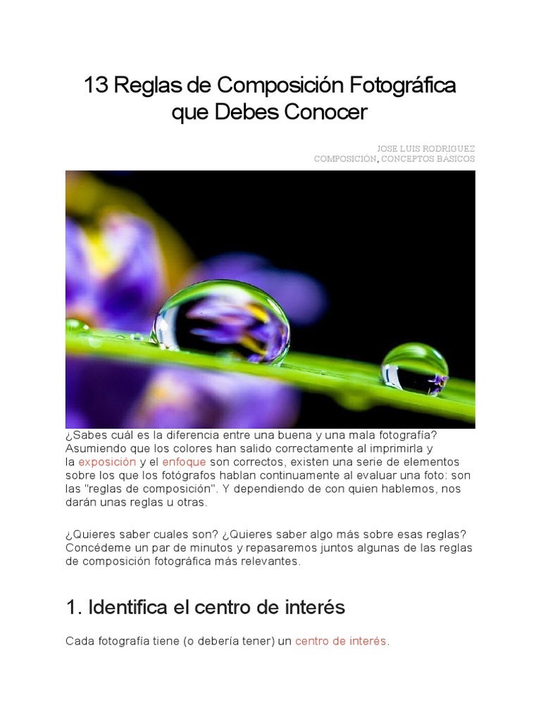 13 Reglas de Composición Fotográfica | PDF | Composición (artes ...