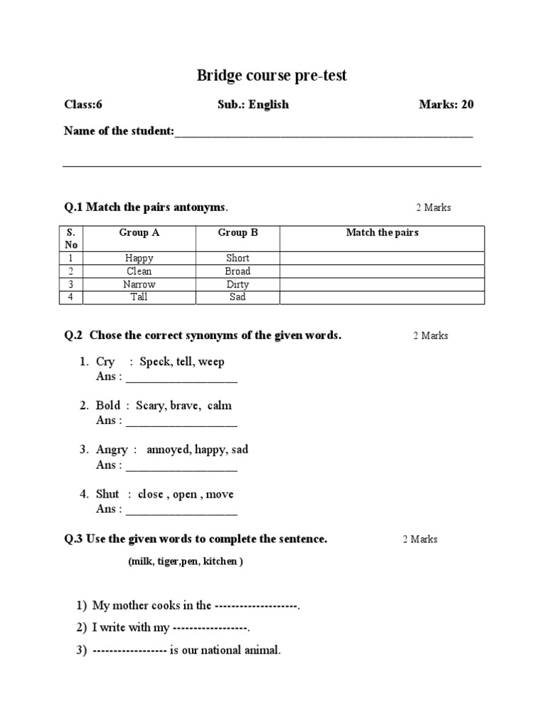 Pre Test STD 6 TH English Bridge Course | PDF