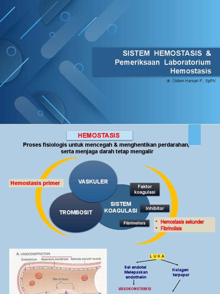 Pemeriksaan Hemostasis dan Prosesnya | PDF