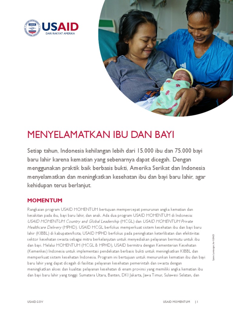 Program USAID MOMENTUM untuk Ibu dan Bayi | PDF