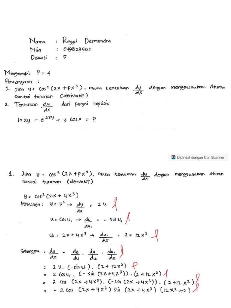 Diskusi 5 Kalkulus Reggi Desmendra | PDF