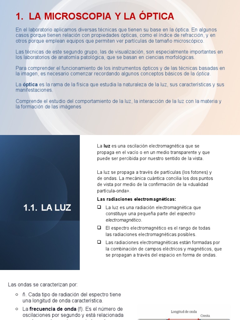 La Microscopia y La Optica | PDF | Óptica | Ligero