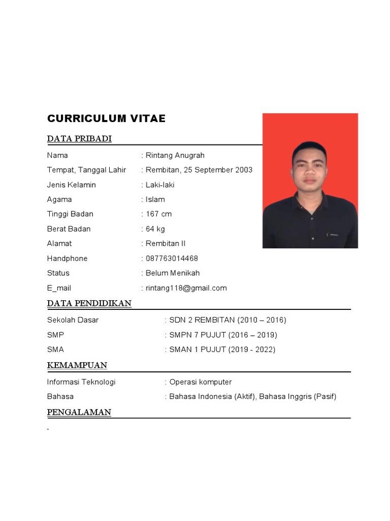 CURRICULUM VITAE OJIK - Salin | PDF