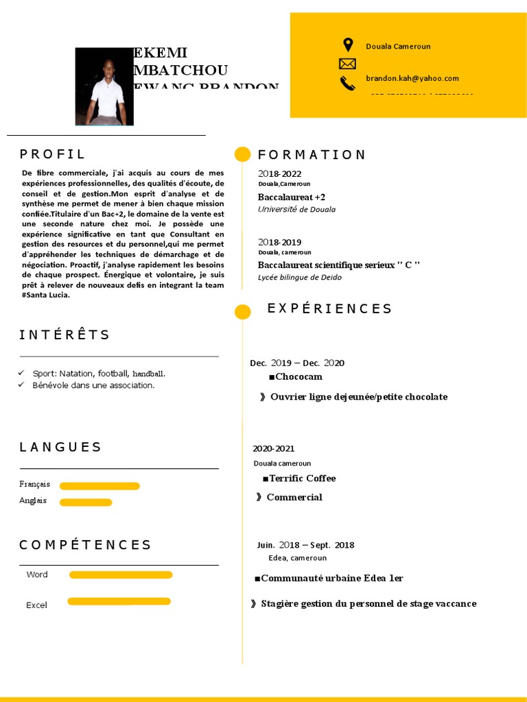 CV de Brandon Ewang: Consultant en vente | PDF | Affaires