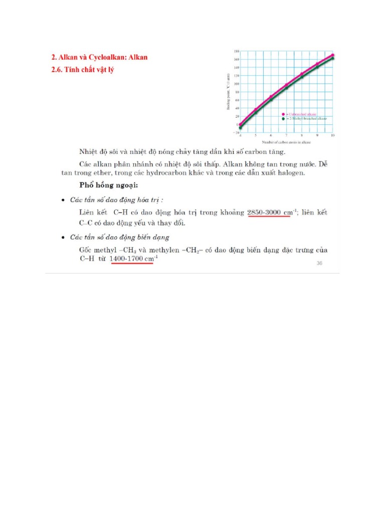 Ankal | PDF