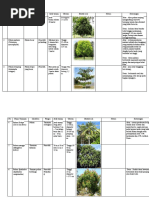 RTH - Jenis RTH Dan Kriteria Tanaman | PDF | Griya & Taman