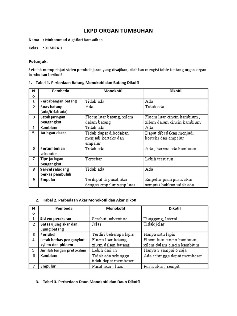 LKPD Organ Tumbuhan | PDF
