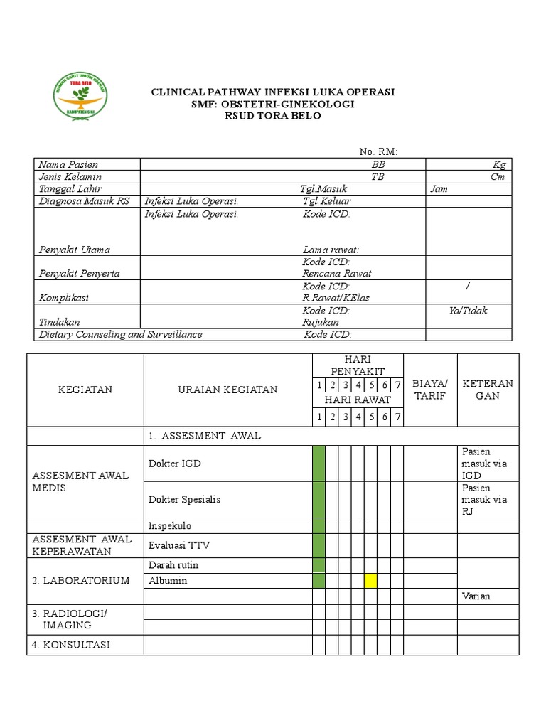 CP Ante Partum Haemorrhage | PDF | Pengembangan Diri | Kesehatan Holistik