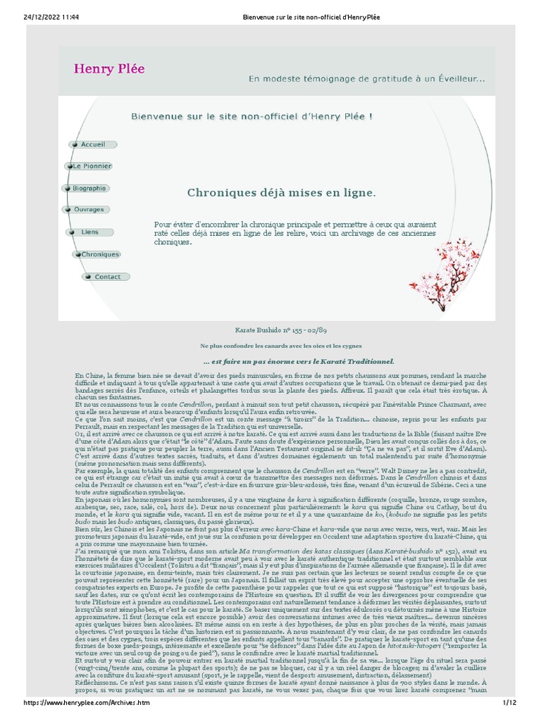 CHRONIQUES D'henry Plée | PDF | Karaté | Shōtōkan-ryū