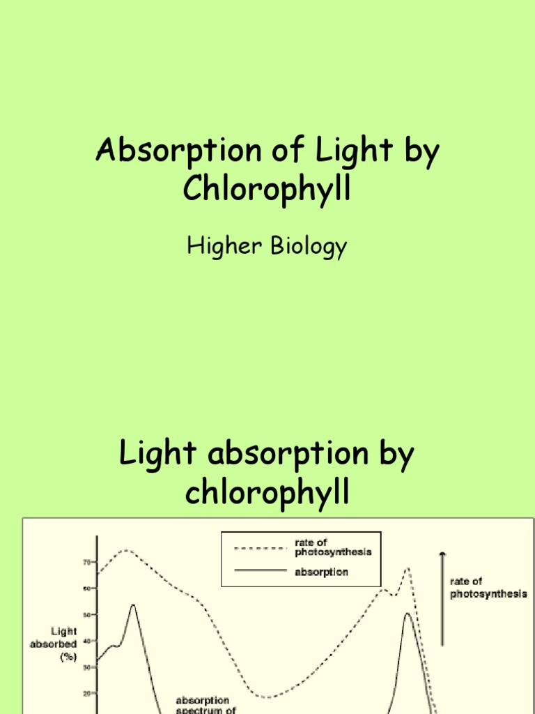Chlorophyll Light Absorption Spectrum | PDF