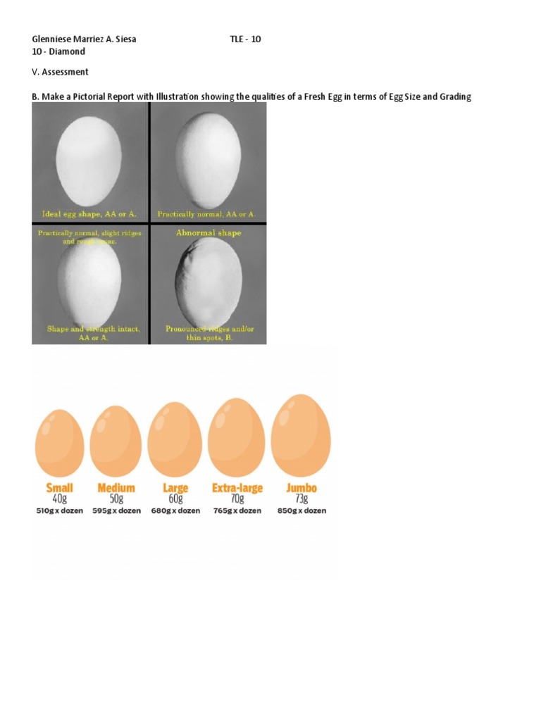 Egg Size And Grading