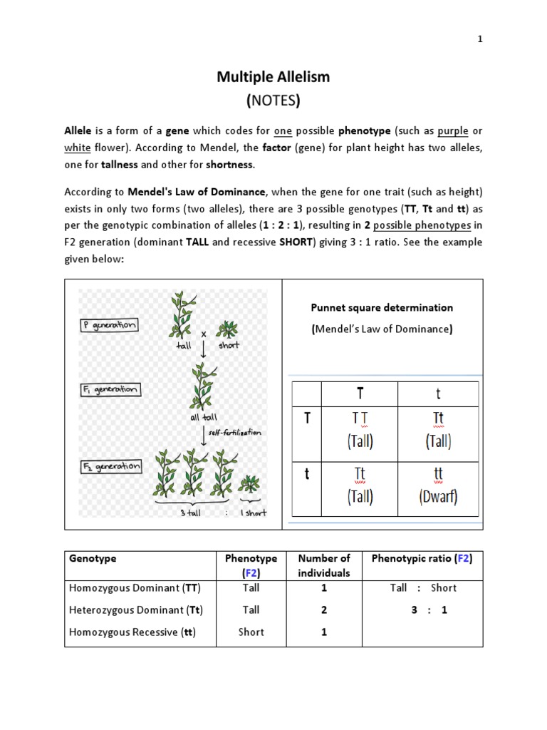 Multiple Alleles | PDF | Dominance (Genetics) | Allele