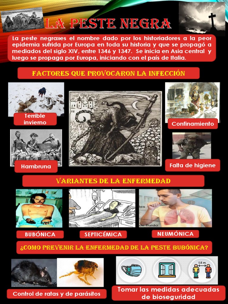 Prevención y Resumen de la Peste Negra | PDF | Ciencias sociales