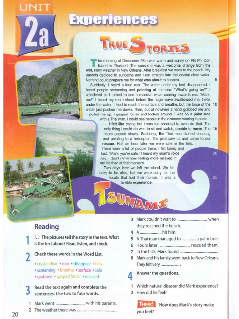 Access 8 Unit 2A & B PDF | PDF