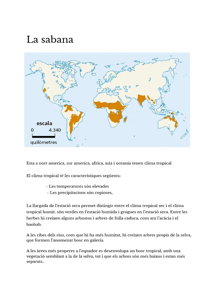 Sabana | PDF