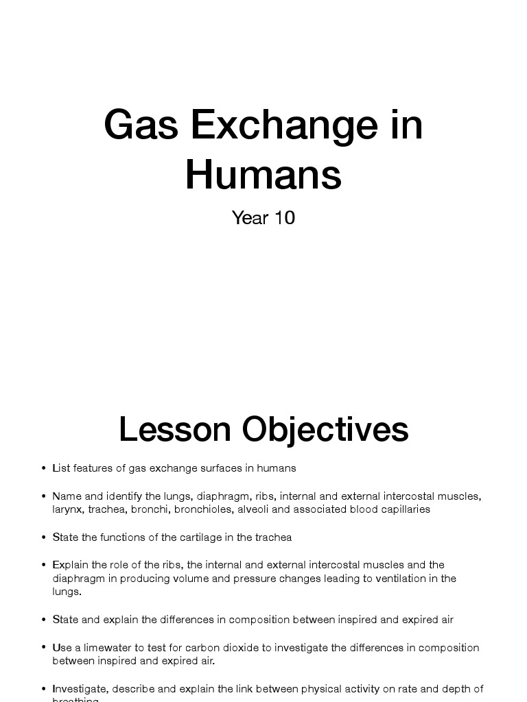 Gas Exchange in Humans PDF | PDF | Respiratory Tract | Breathing
