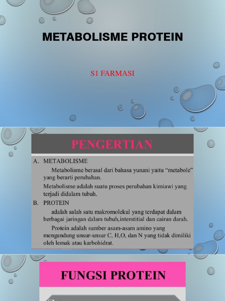 Metabolisme Protein | PDF
