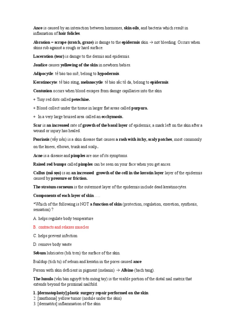 Skin Structure and Functions Overview | PDF