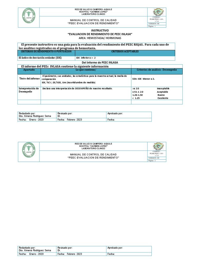 Instructivo PEEC 2025: Evaluación de Rendimiento | PDF