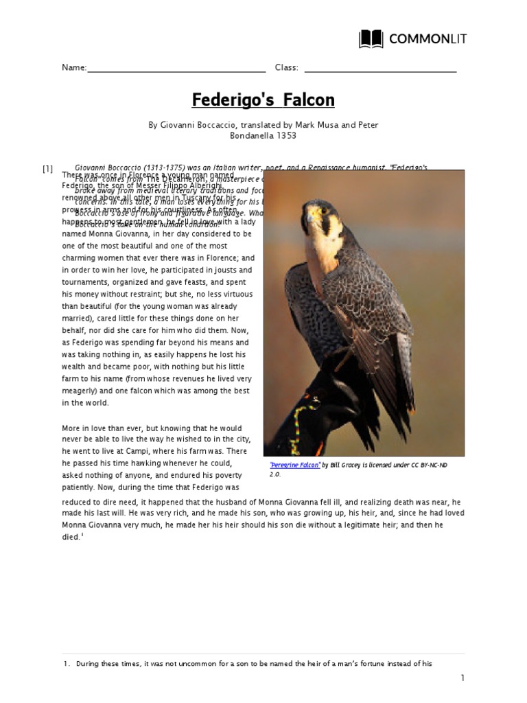 Federigo S Falcon | PDF | Giovanni Boccaccio | Luck